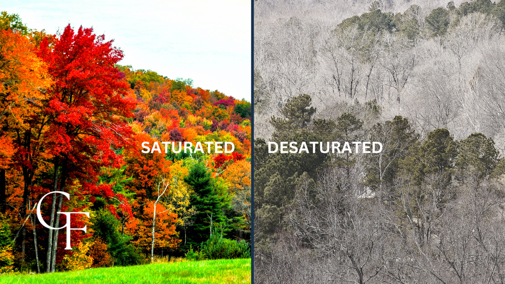 How to Use the Color Wheel for Clothes